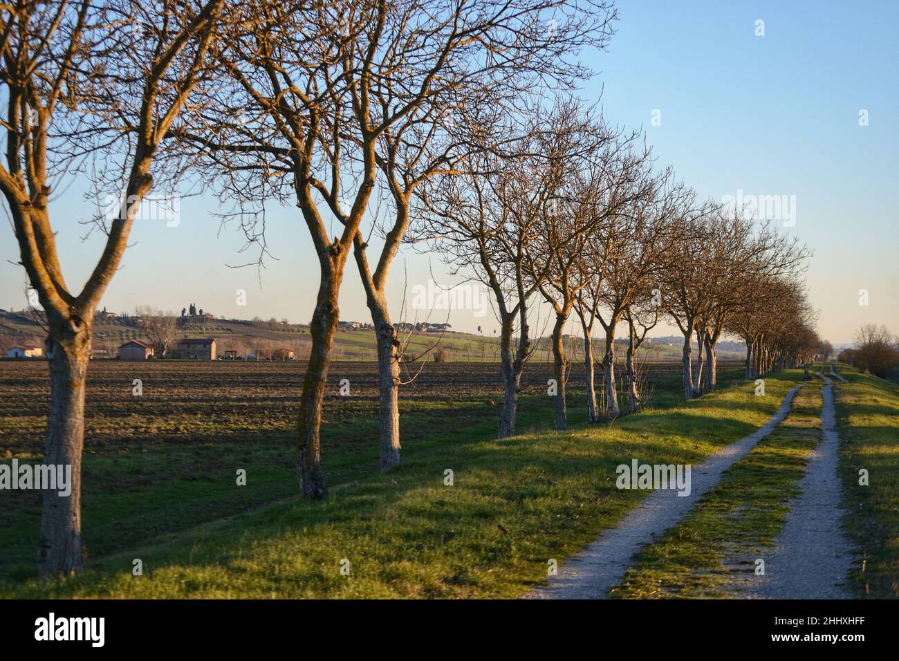Walnut grove hi-res stock photography and images - Alamy