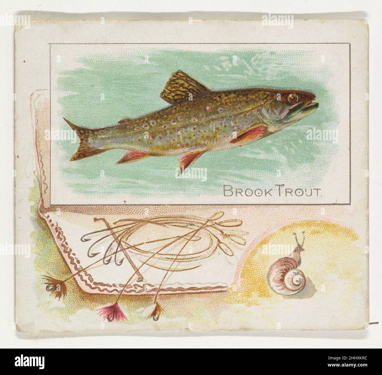 Brook Trout, from Fish from American Waters series (N39) for Allen ...