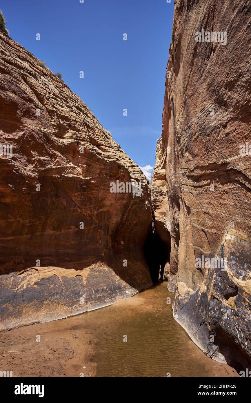 Vertical shot of the canyon of the Grand Staircase-Escalante National ...