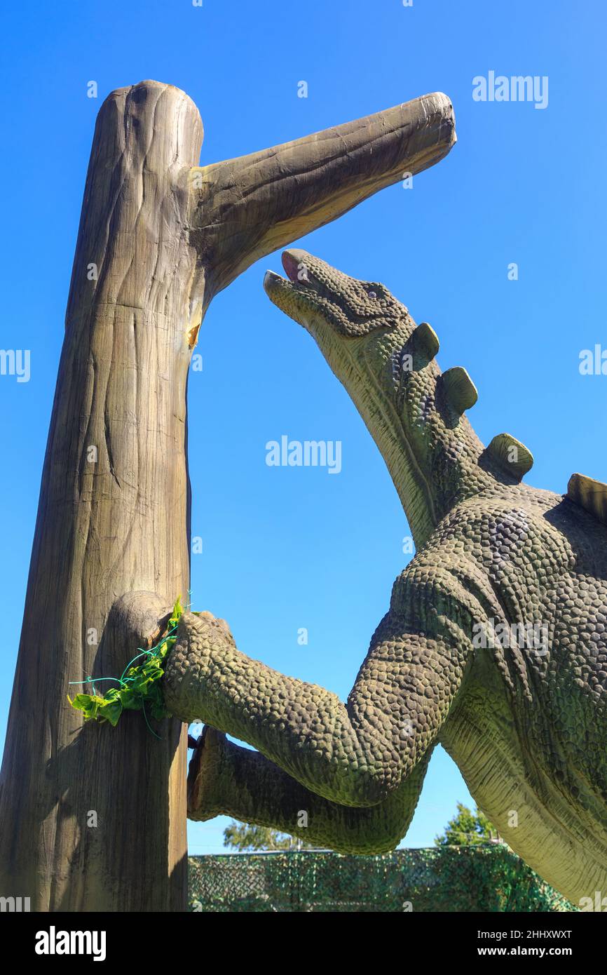 Stegosaurus eating plant hi-res stock photography and images - Alamy