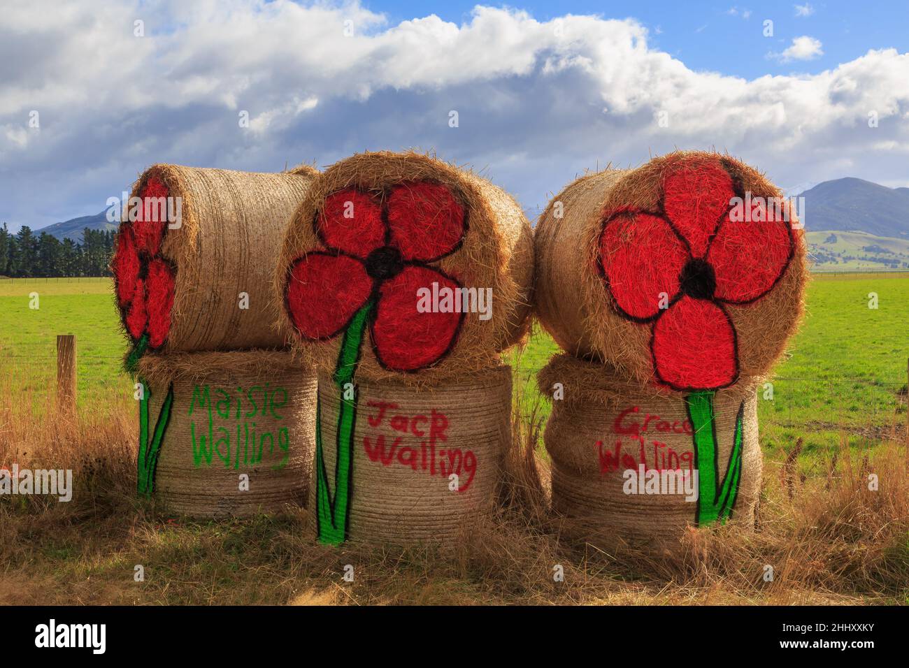 Anzac poppies hi-res stock photography and images - Alamy
