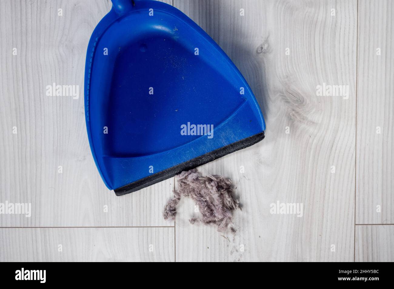 Dust ball hi-res stock photography and images - Alamy