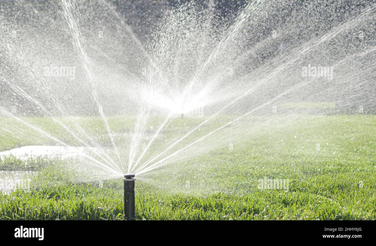 Garden irrigation system lawn. Automatic lawn sprinkler watering green ...