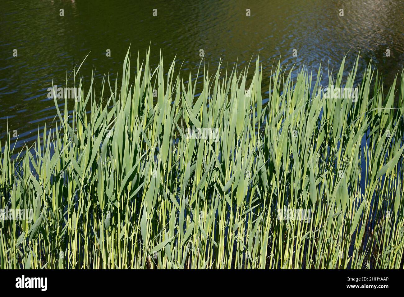 Hintergrundbild i hi-res stock photography and images - Alamy