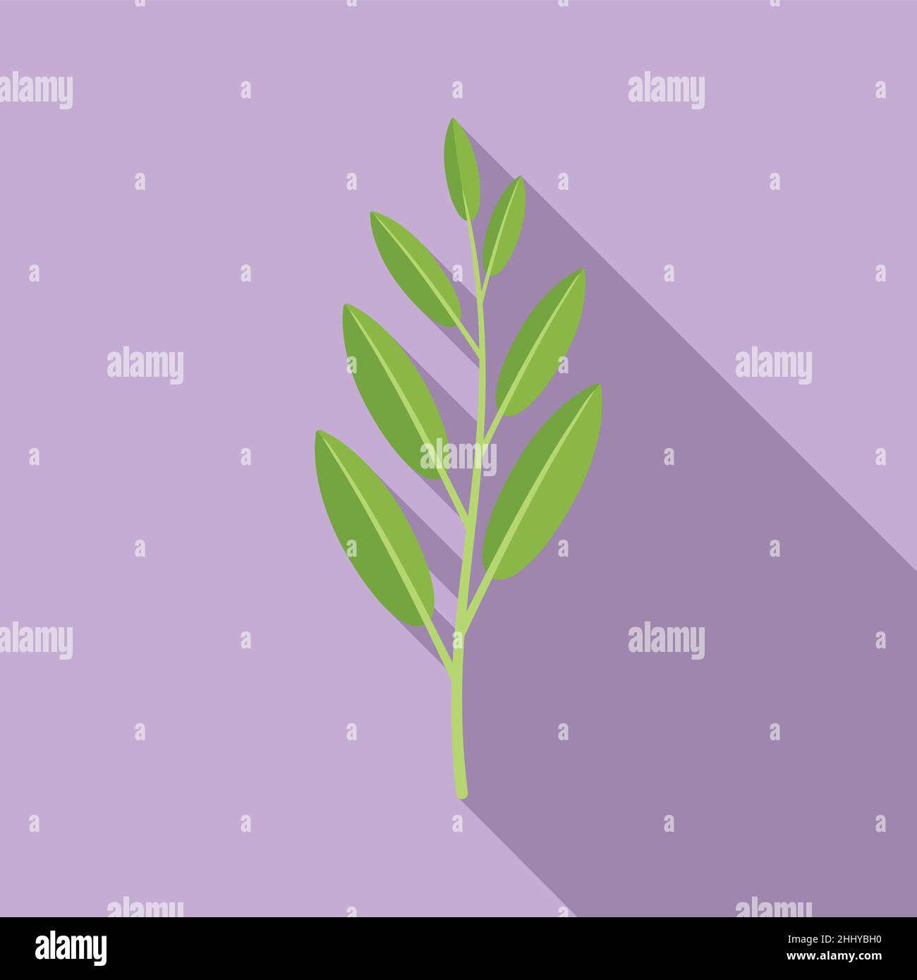 Sage plant icon flat vector. Herb leaf. Tea salvia Stock Vector Image ...