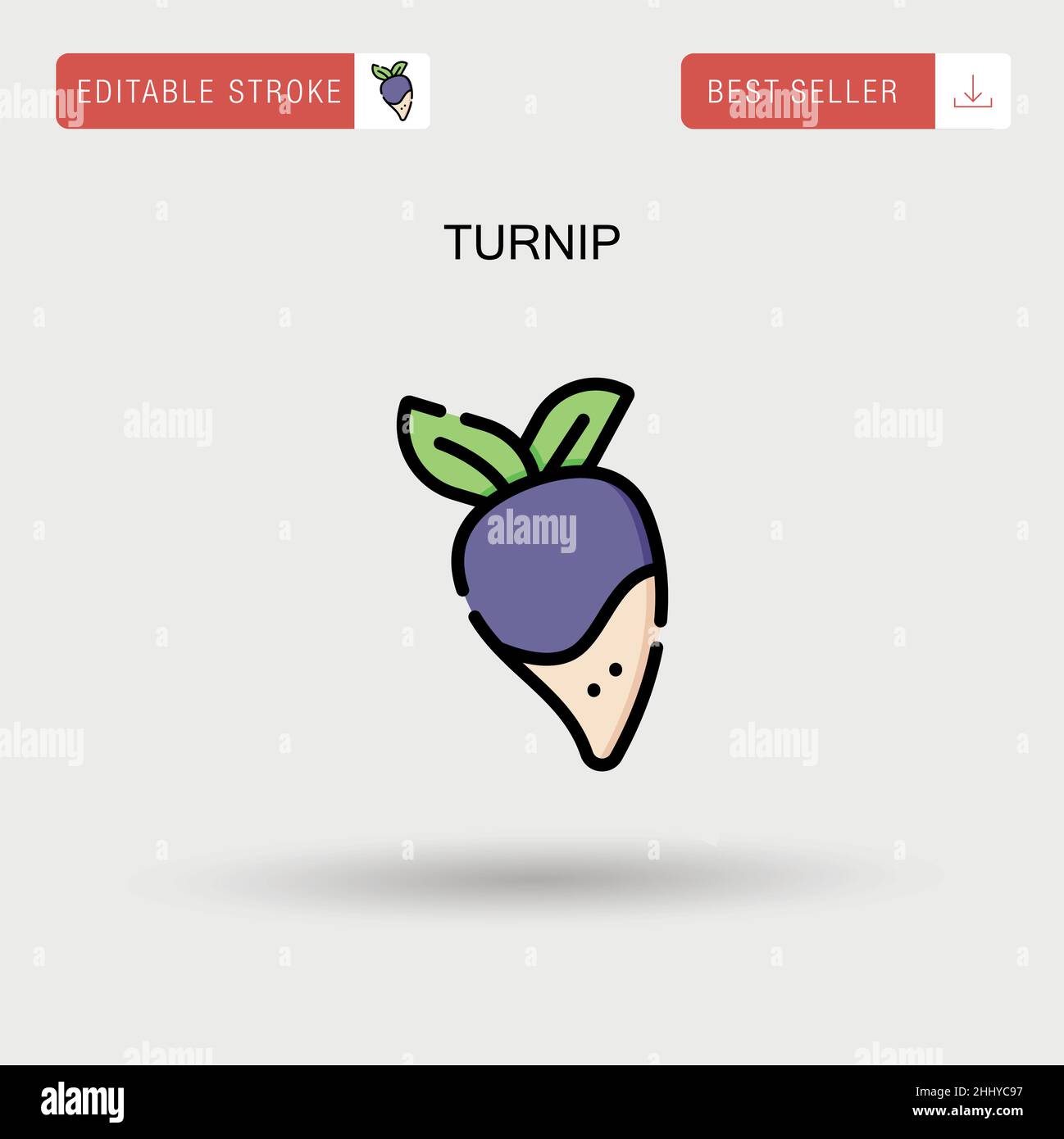 Harvest organic turnip Stock Vector Images - Alamy