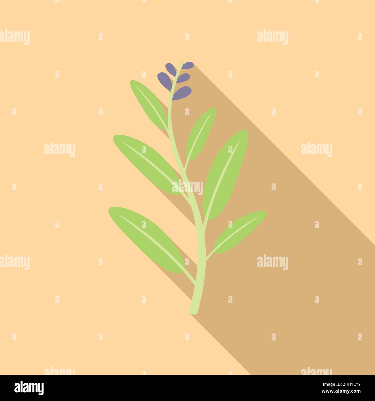 Sage salvia icon flat vector. Leaf herb. Cedar herbal Stock Vector ...