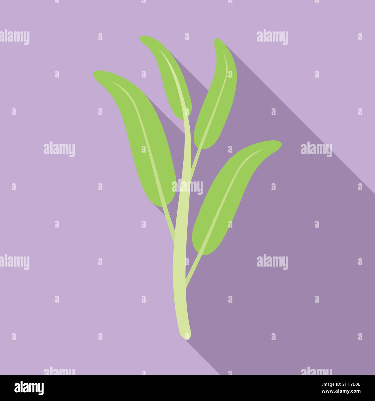 Herbal sage icon flat vector. Herb plant. Leaf aromatic Stock Vector ...