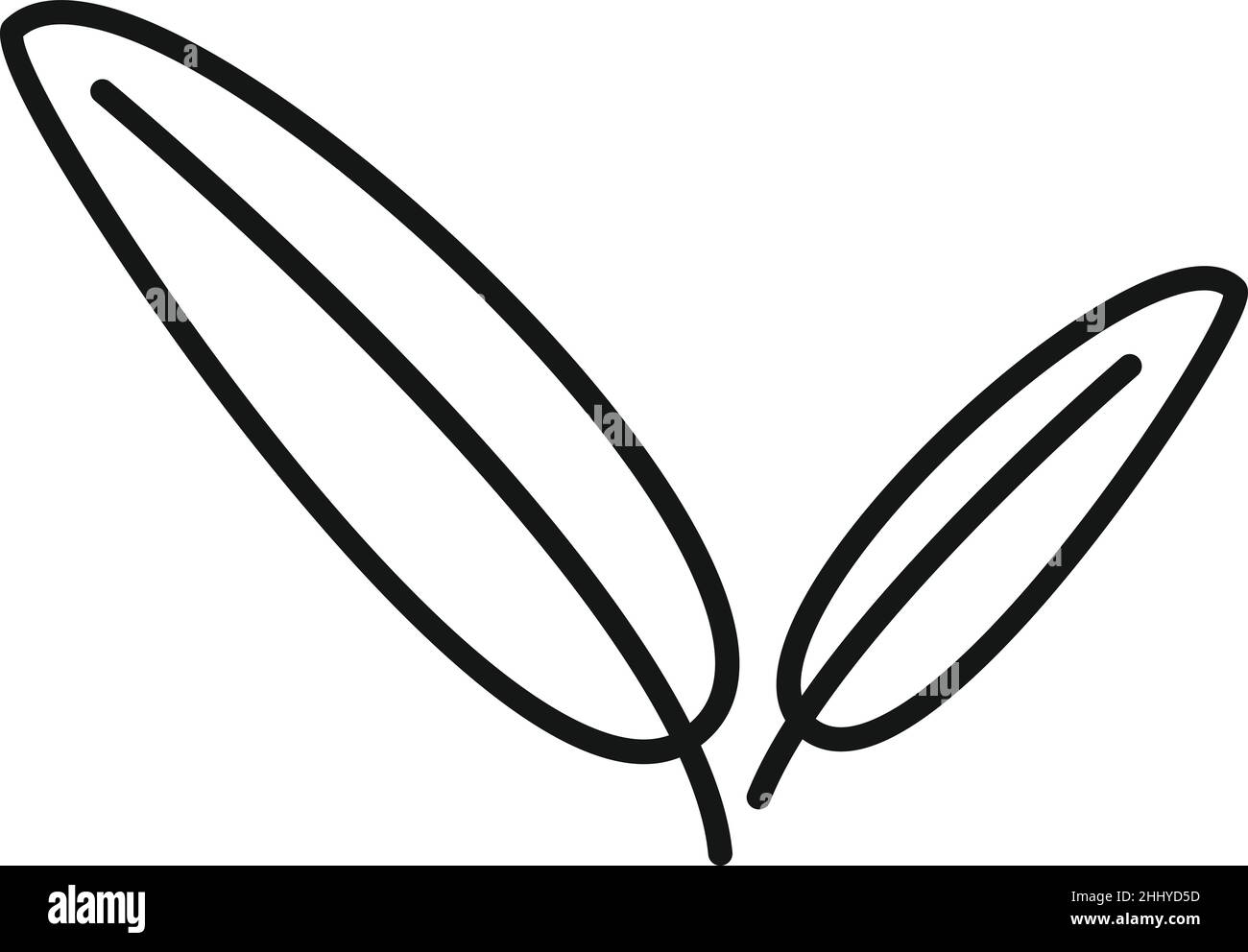 Sage mint icon outline vector. Herb plant. Stick smudge Stock Vector ...