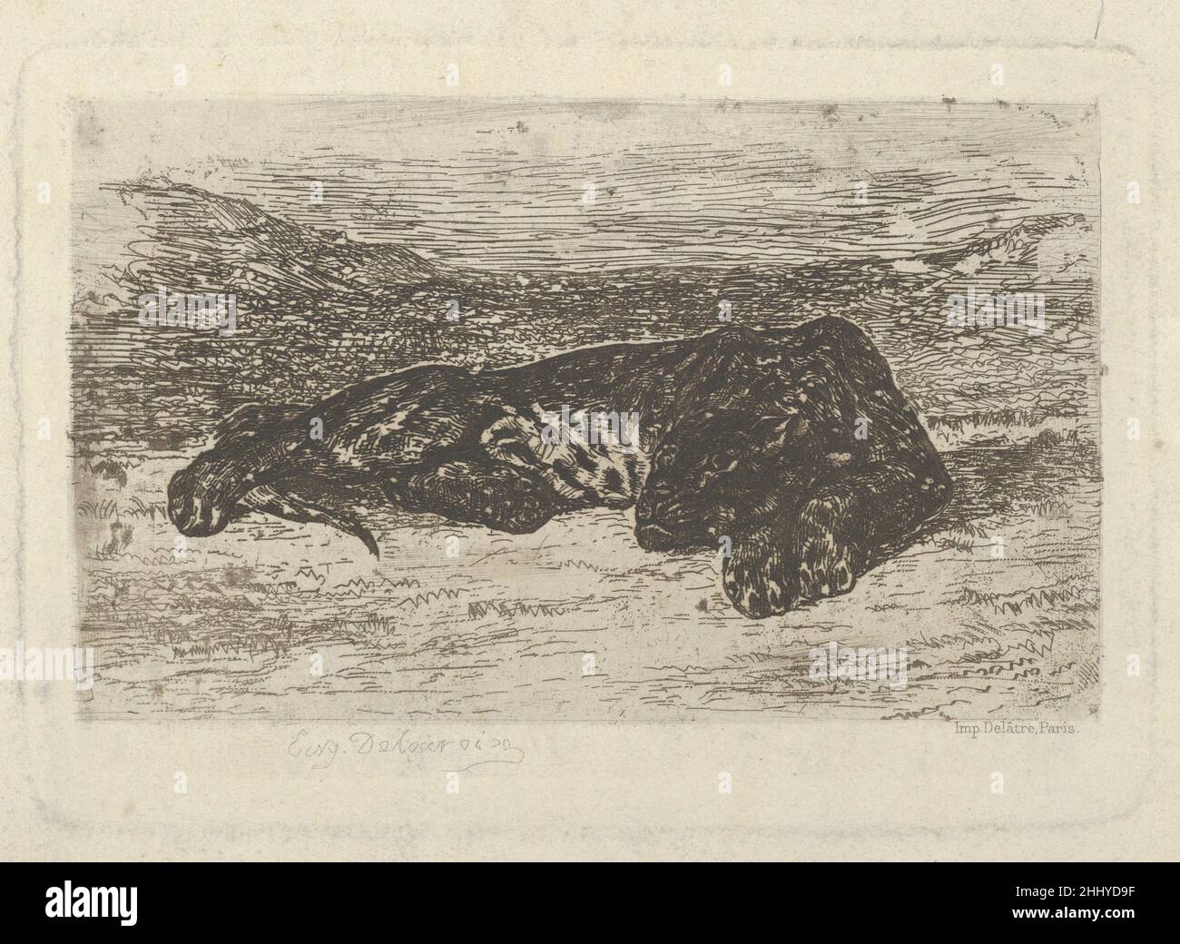 Tiger Lying in the Desert 1846 (?) Eugène Delacroix French. Tiger Lying ...