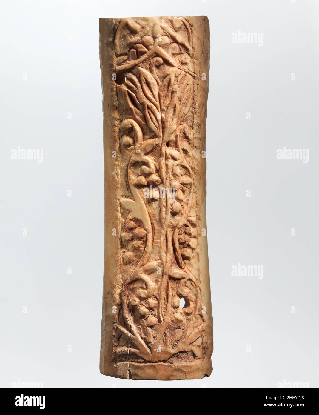 Bone plaques hi-res stock photography and images - Alamy