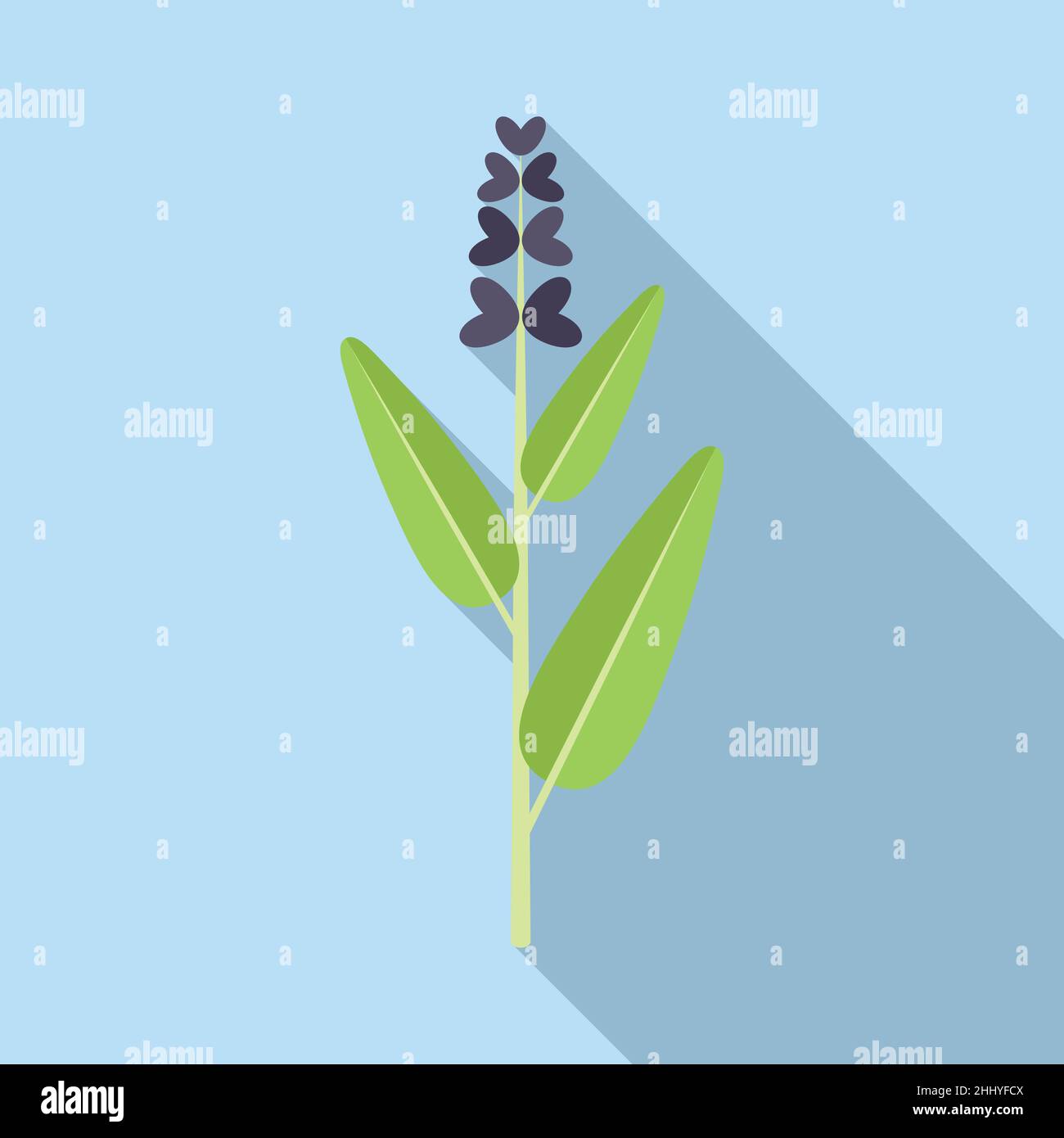 Sage flower icon flat vector. Herb plant. Herbal witch Stock Vector ...