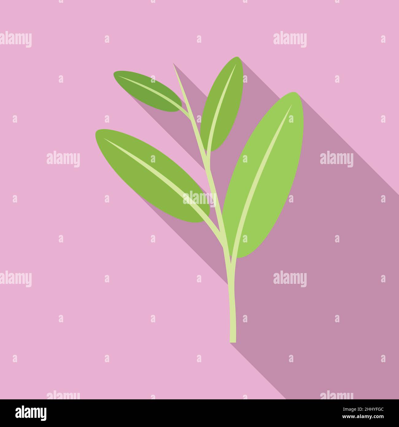 Sage tea vector vectors hi-res stock photography and images - Alamy