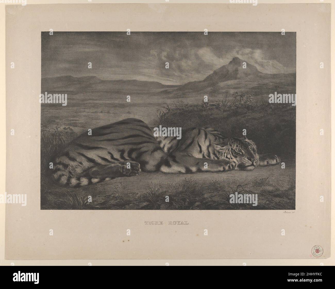 Delacroix tiger hi-res stock photography and images - Alamy
