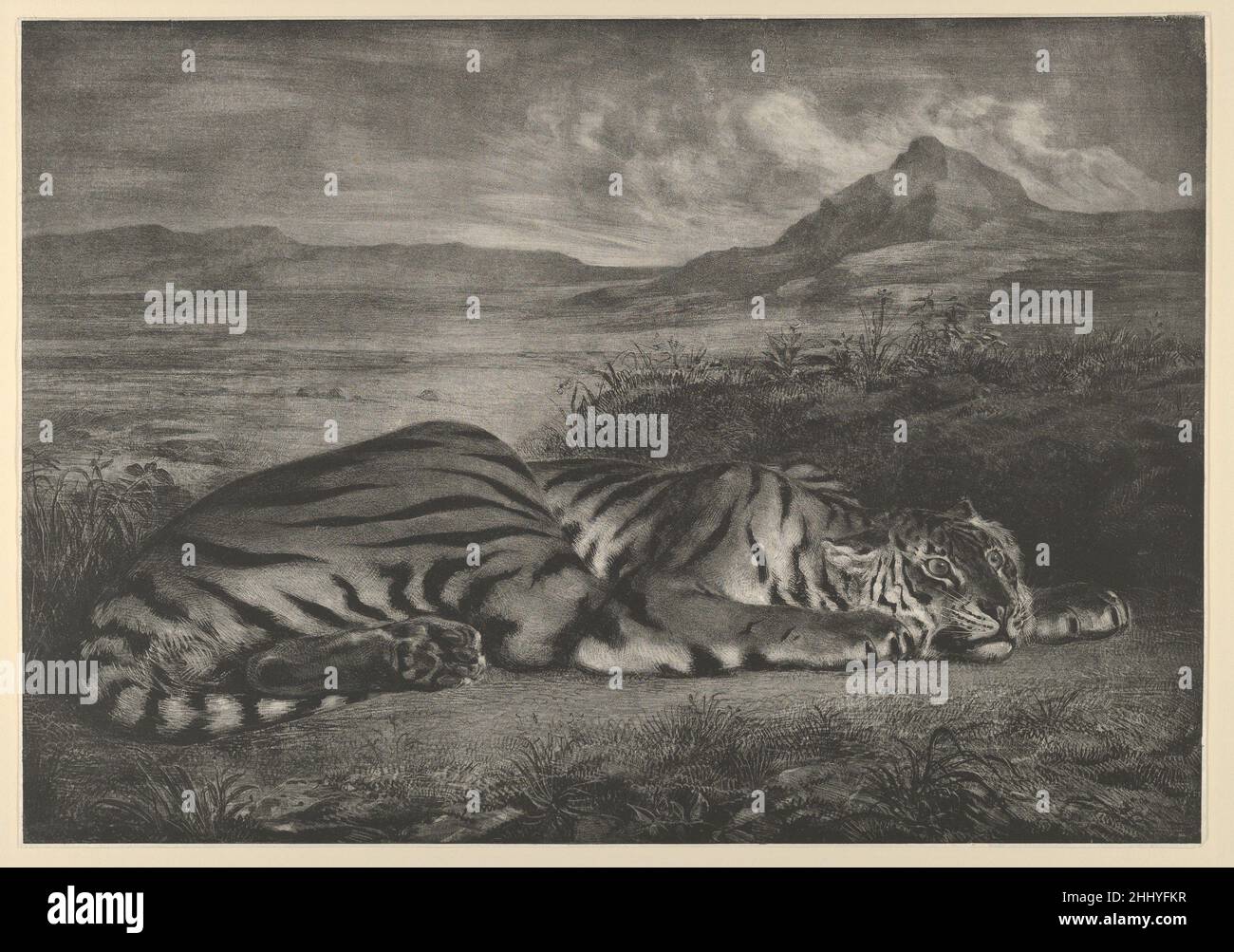 Royal Tiger 1829 Eugène Delacroix French Delacroix had great empathy ...