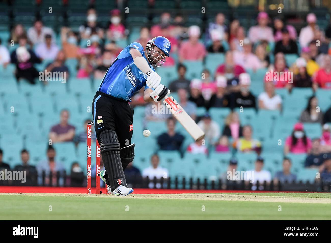 Travis head adelaide strikers hi-res stock photography and images - Alamy