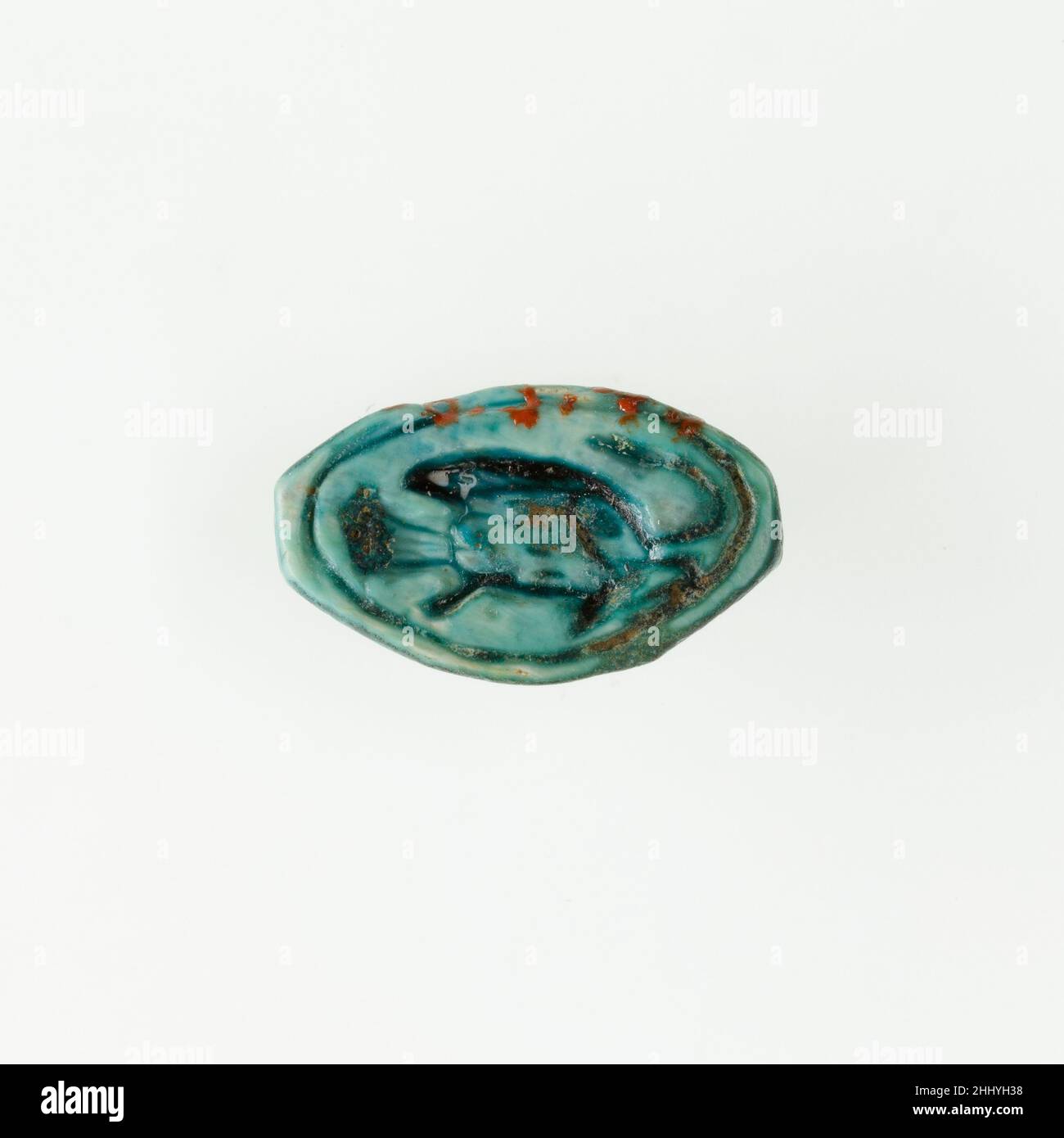 Coffin shaped fish hi-res stock photography and images - Alamy