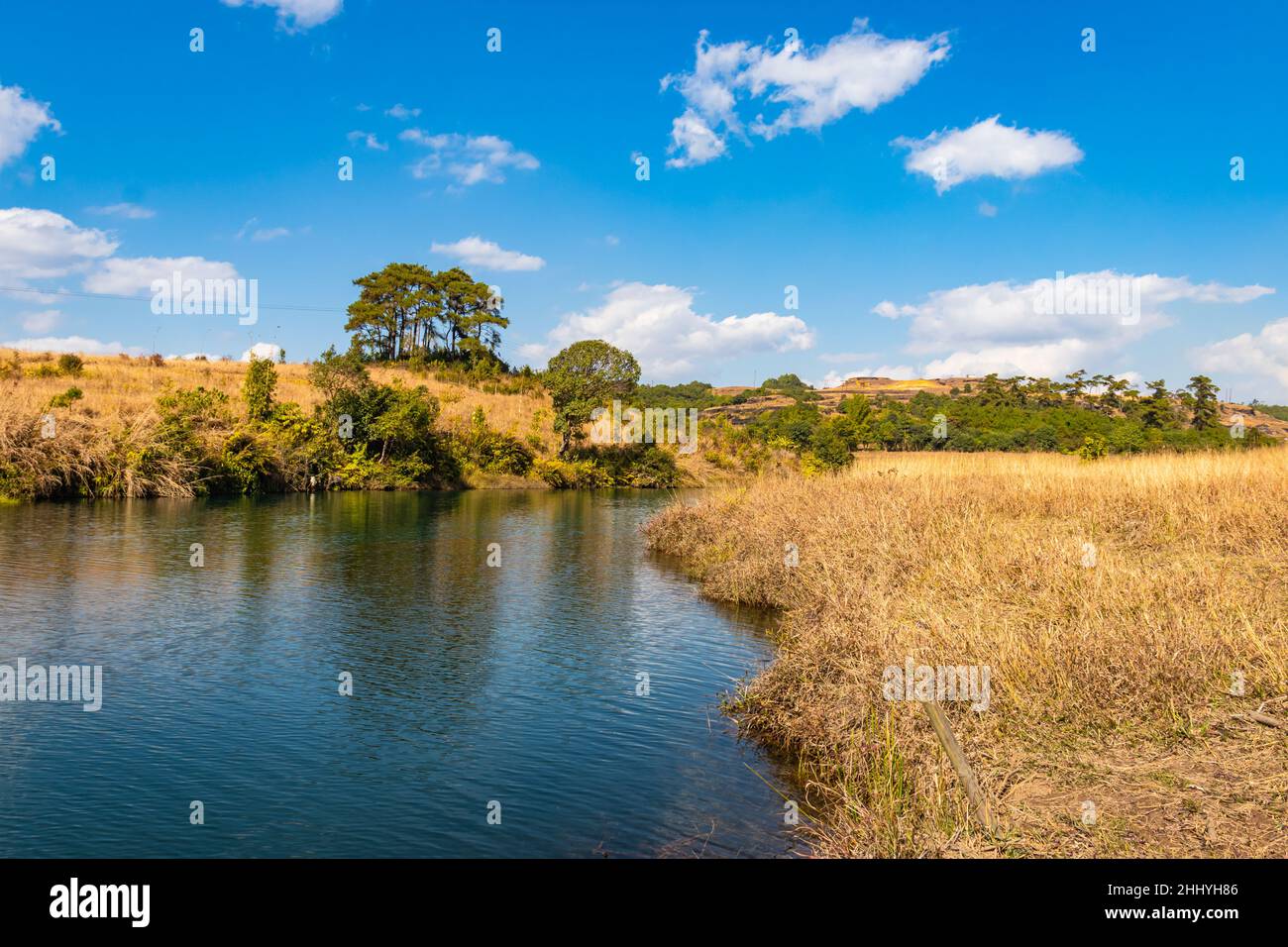 riverside yellow grass countryside fields with bright blue sky at ...