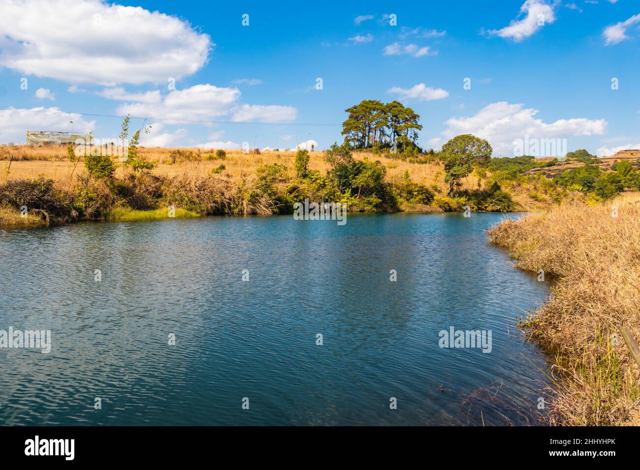 riverside yellow grass countryside fields with bright blue sky at ...