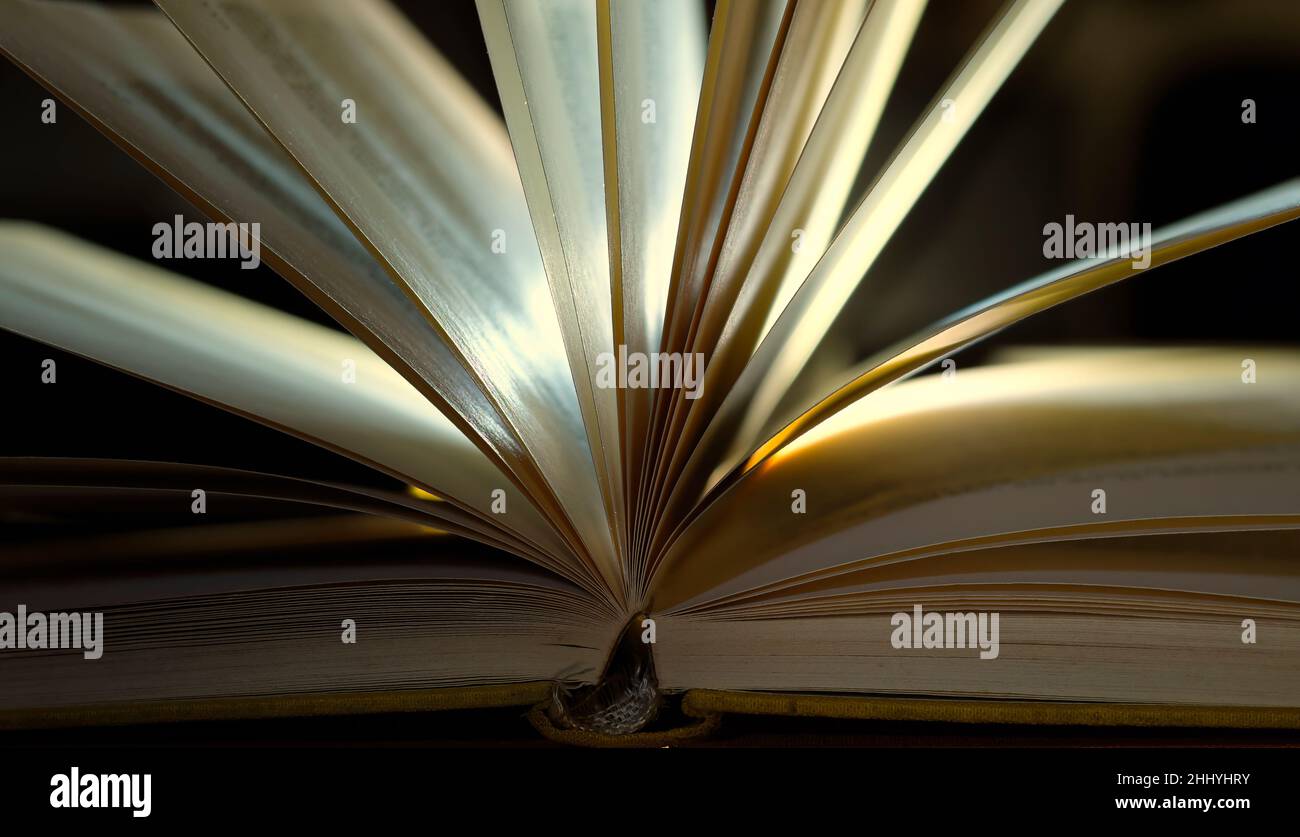 Paper close up shallow depth of field book pages hi-res stock ...