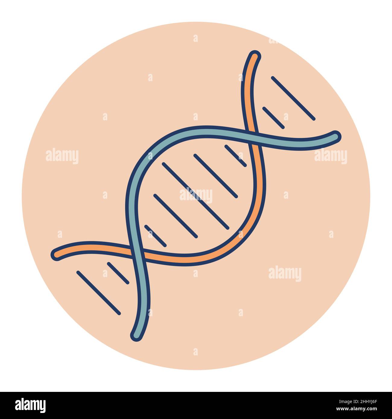 DNA vector flat icon. Medicine and healthcare, medical support sign ...