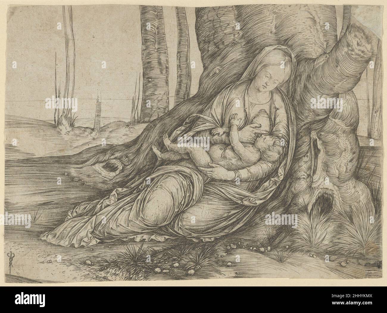 The Madonna nursing the Christ Child at the foot of a tree ca. 1501–3 ...
