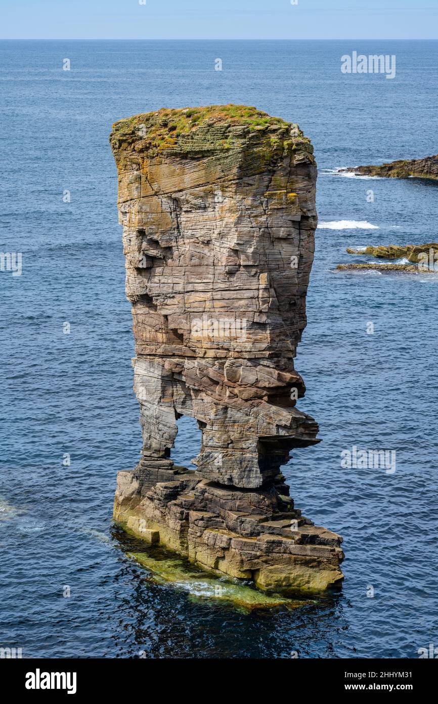 Yesnaby Castle sea stack looking north on Yesnaby coastline on west ...
