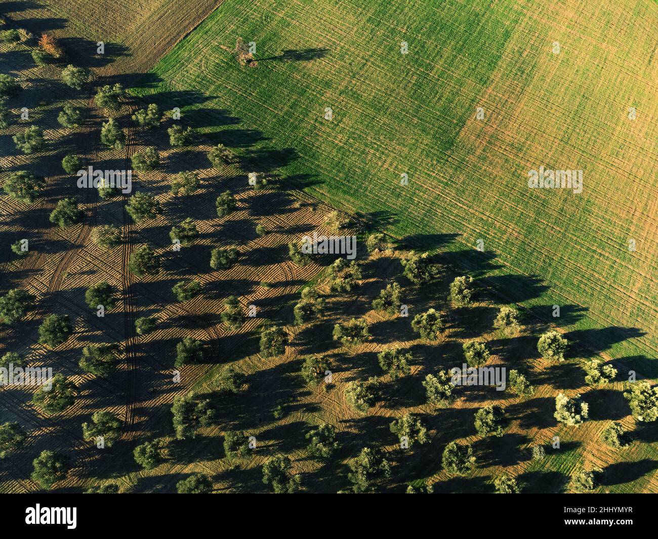 Aerial drone view agriculture field hi-res stock photography and images ...