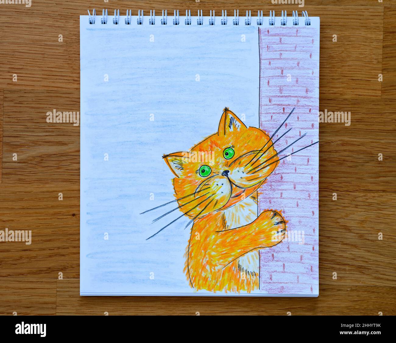 A Notepad with A Ginger Cat Looking Around a Corner hand drawing on ...
