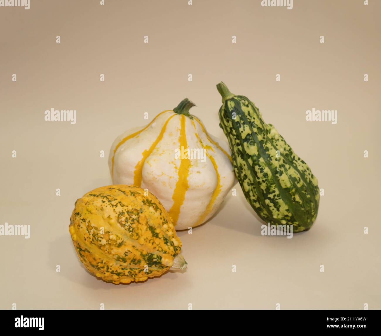 Unusual pumpkin idea hi-res stock photography and images - Alamy
