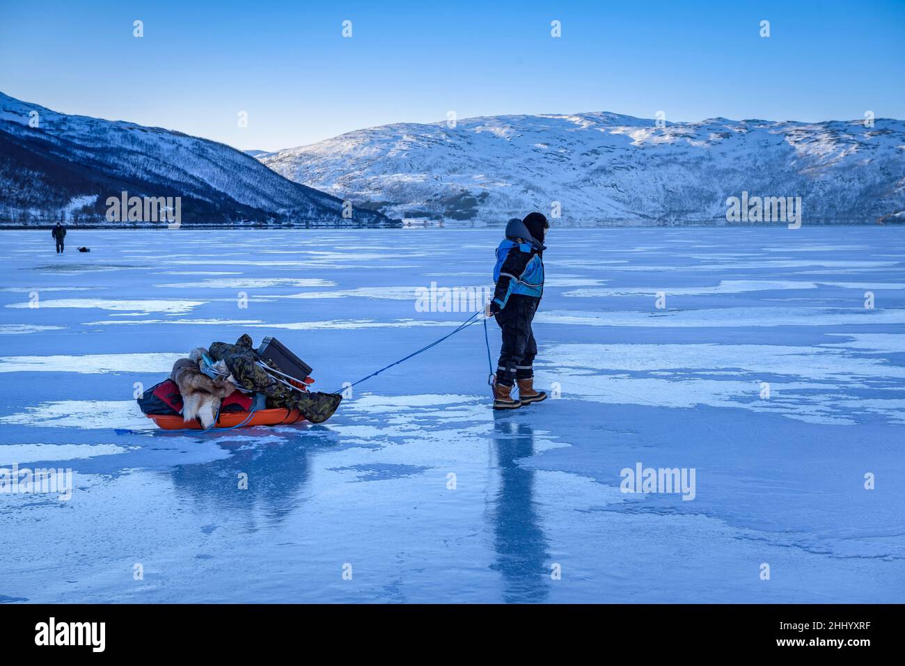 Artico fauna mare hi-res stock photography and images - Alamy