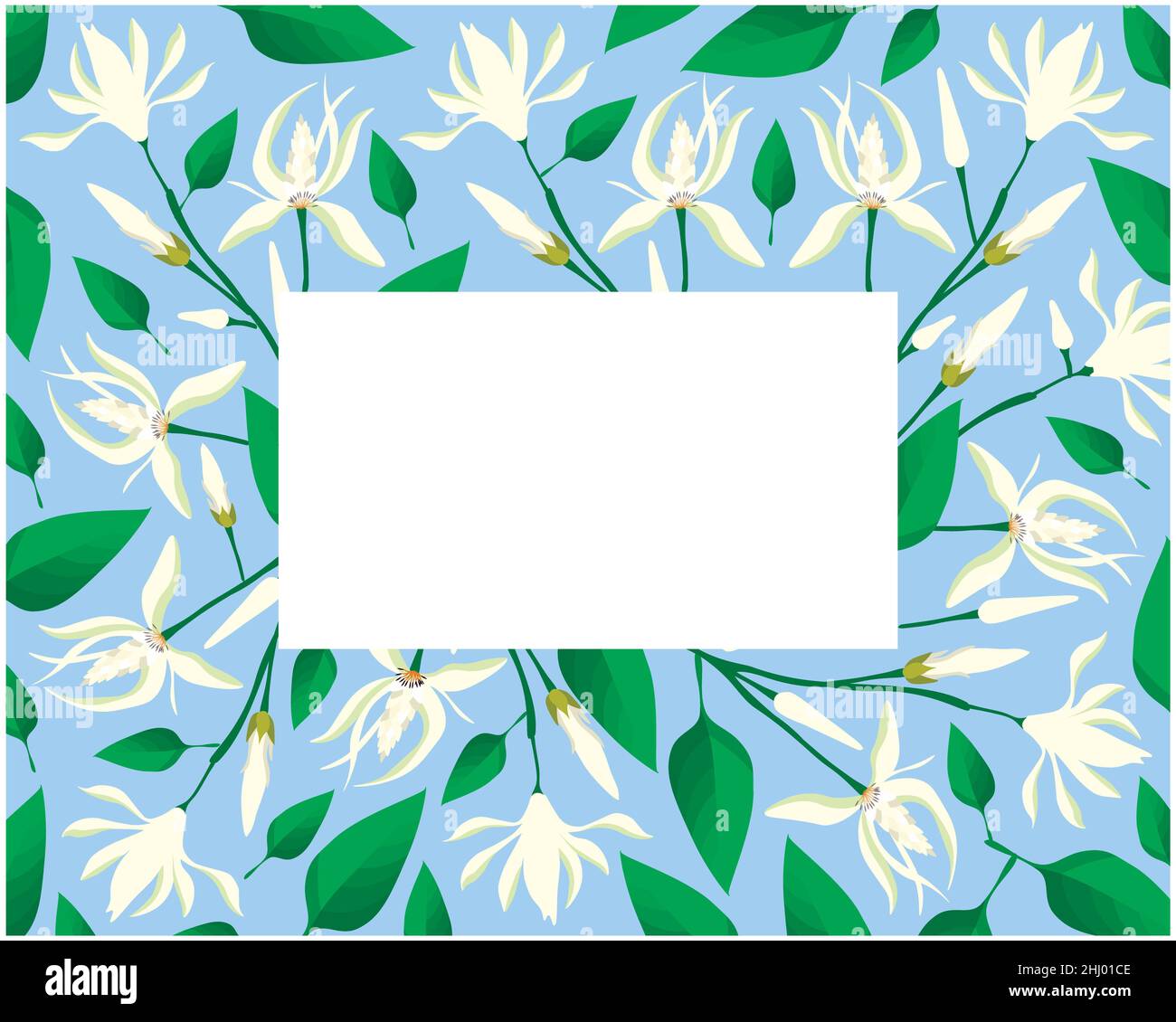 Beautiful Flower, Illustration Frame of White Michelia Alba or White ...