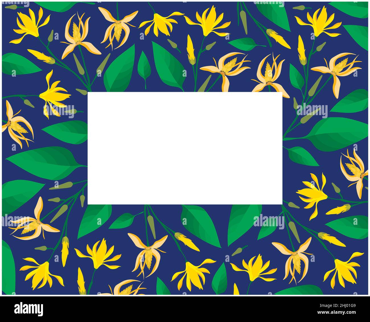 Beautiful Flower, Illustration Frame of Yellow Champaka or Magnolia ...