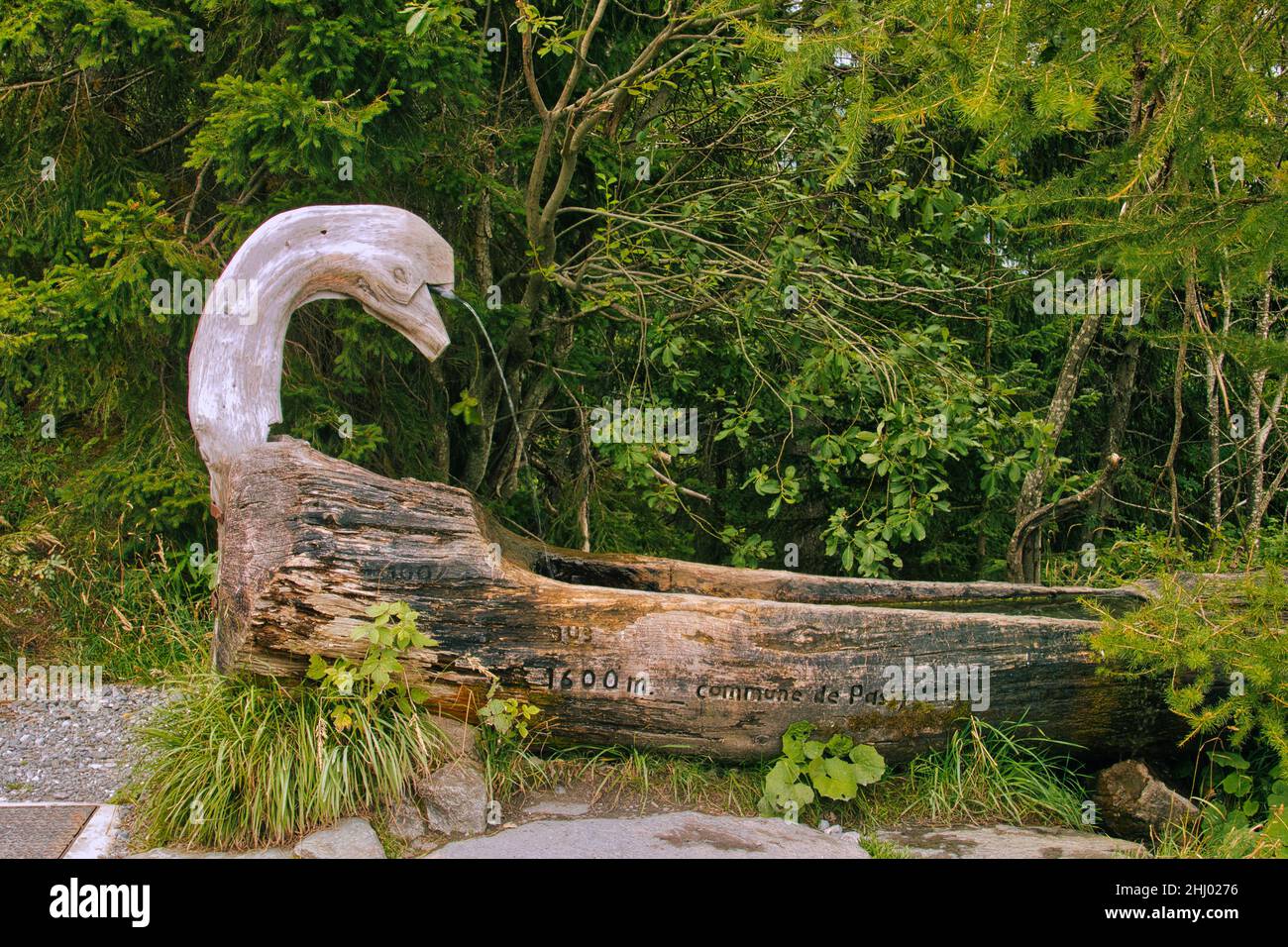 Water basin made of a hollowed tree trunk and a fountain in the shape ...