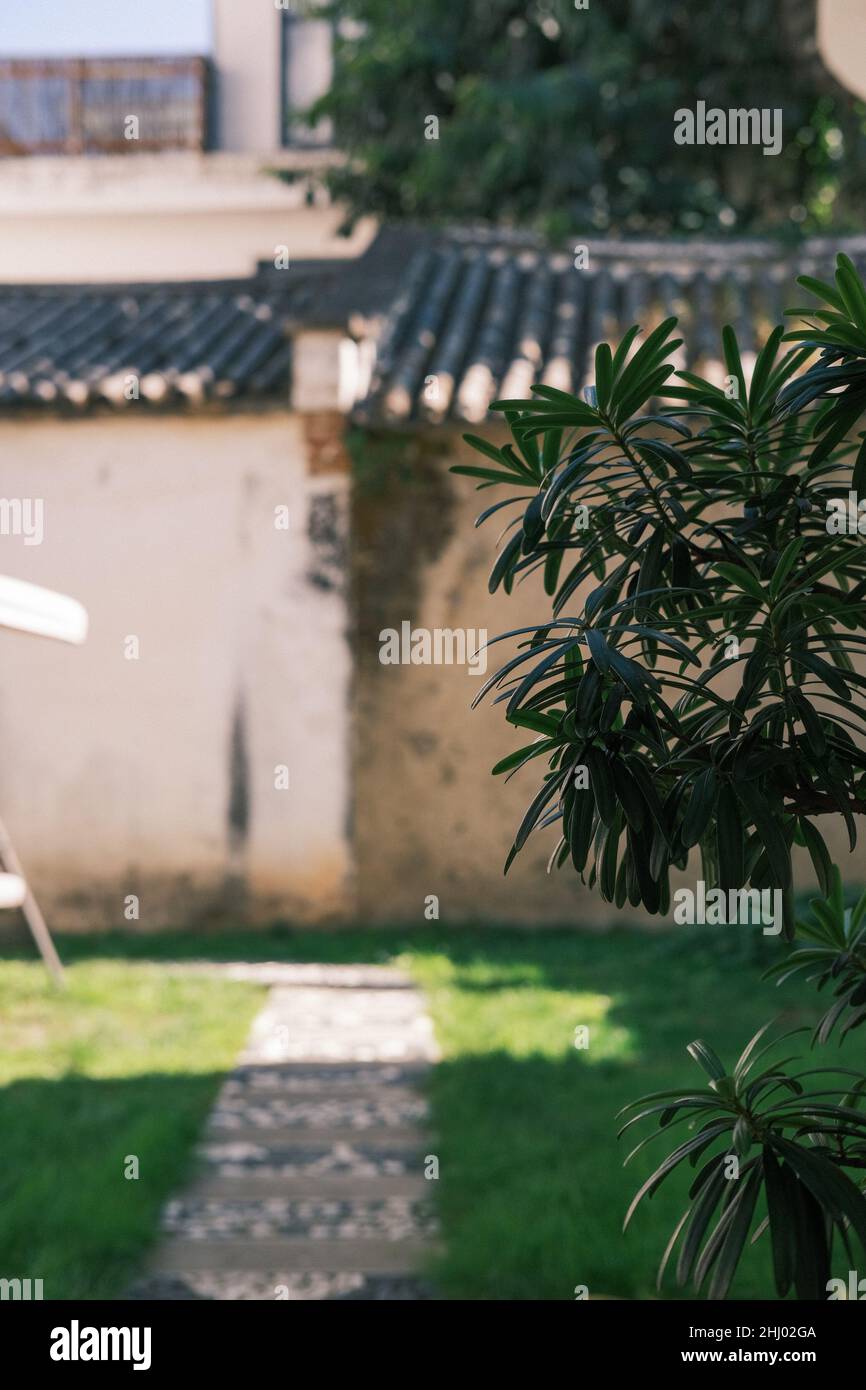 Chinese courtyard hi-res stock photography and images - Alamy