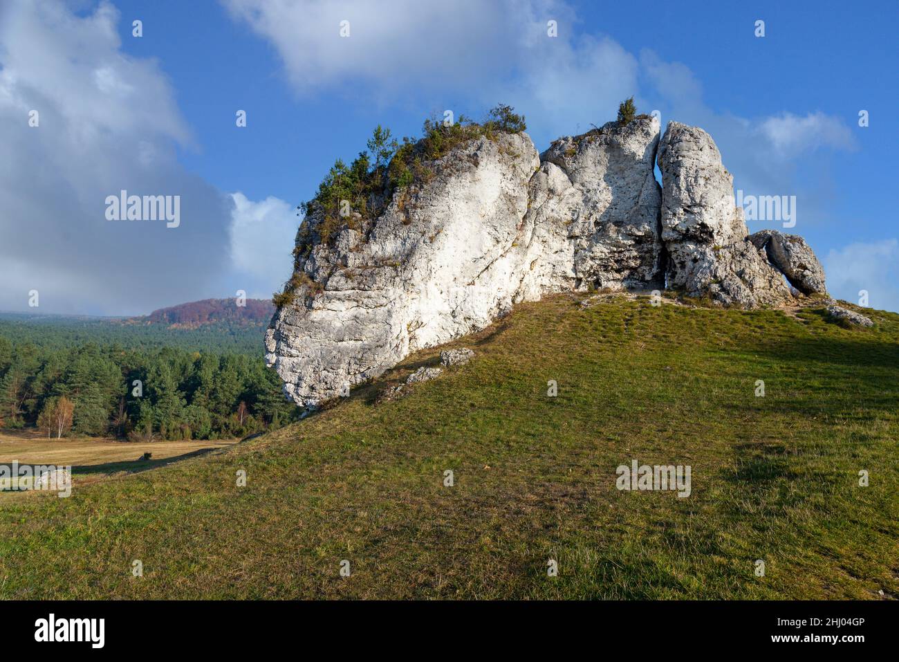 Limestone rocks in Polish Jura Krakowsko-Czestochowska near Mirow Stock ...