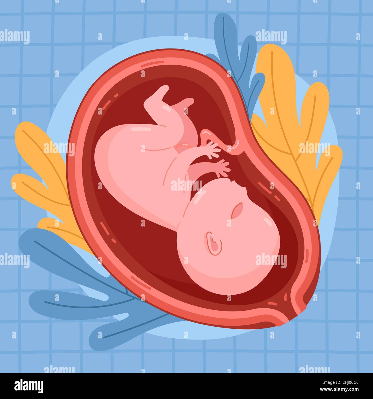 Hand drawn fetus illustration Vector illustration Stock Vector Image ...