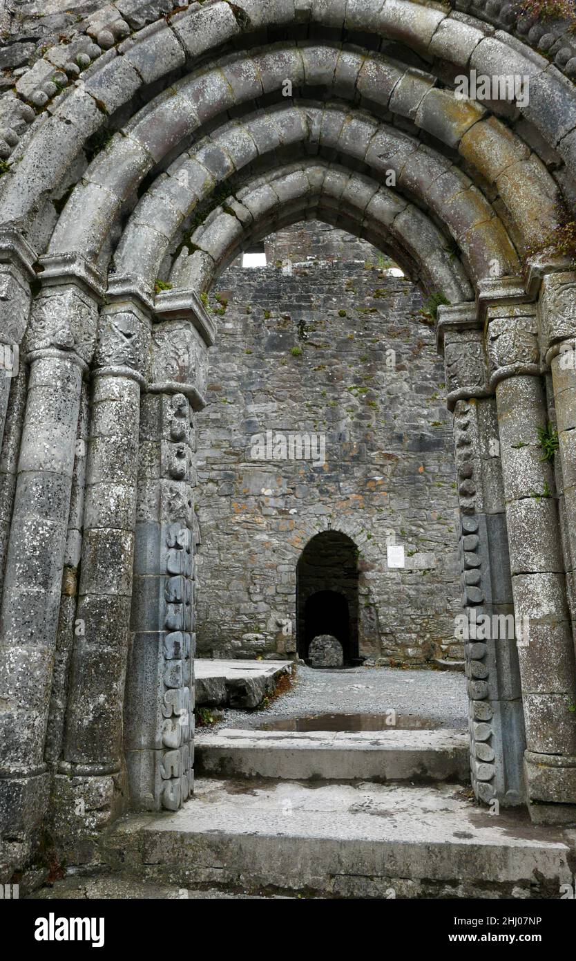 Ruins of Cong Abbey, Mayo county, Connacht province, Republic of ...