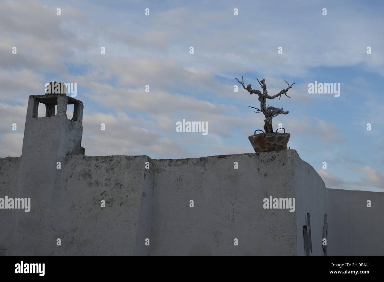 A plant and a chimney inside the old town of Ostuni, also known as "The ...