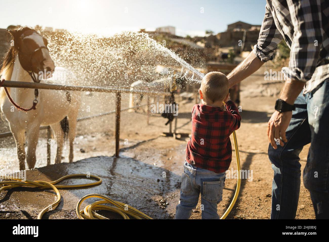 Happy family having fun together at ranch farm - Focus on kid back ...