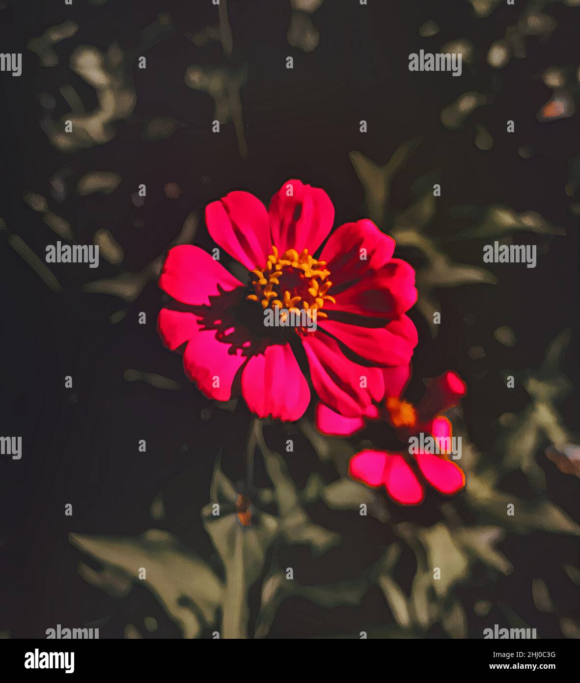 Gardening in hot weather hi-res stock photography and images - Alamy