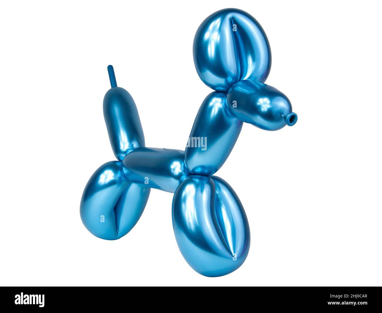 Blue bright balloon dog isolated on the white Stock Photo - Alamy