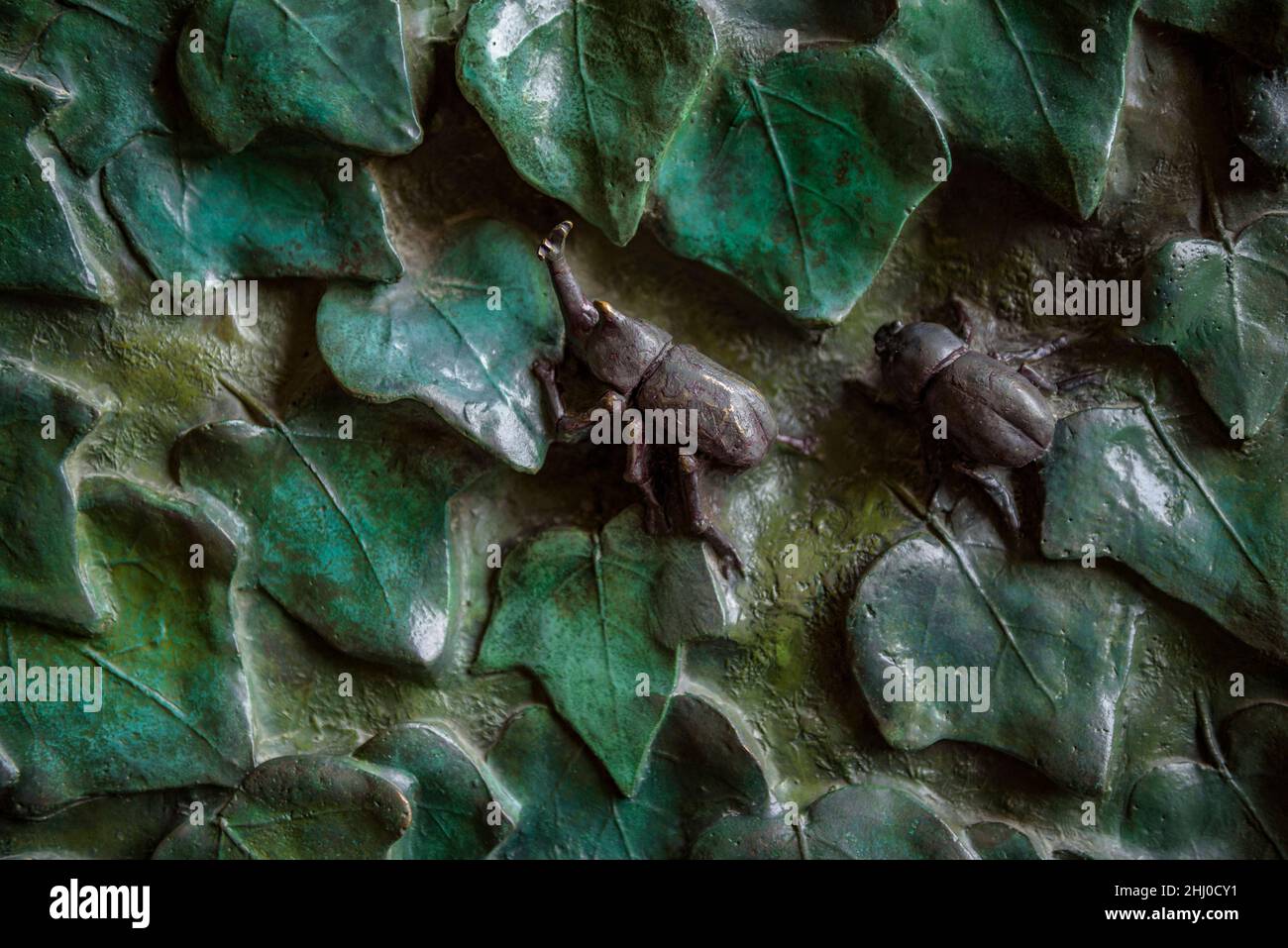 Insekt de insectos hi-res stock photography and images - Alamy