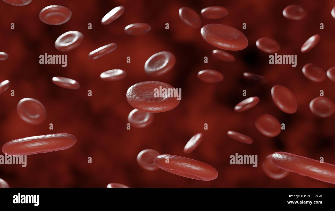 Red blood cells on a red background. Flow of blood in a living organism ...