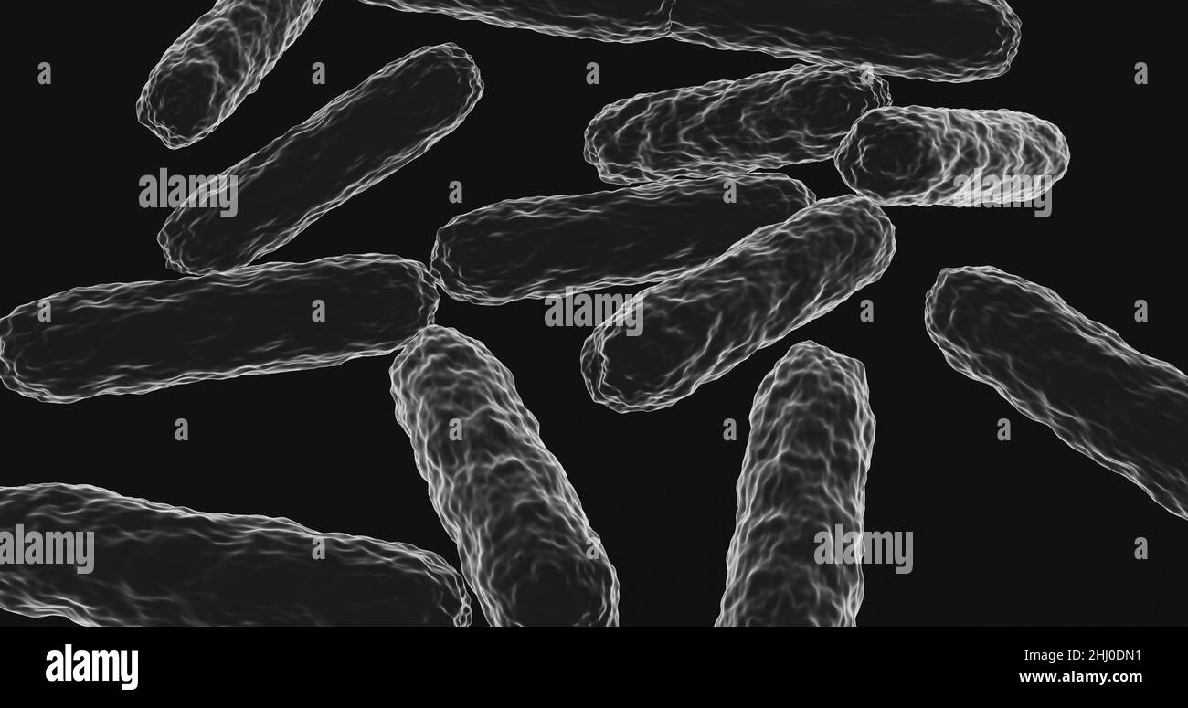 Bacteria virus or germs microorganism cells under microscope. Human ...