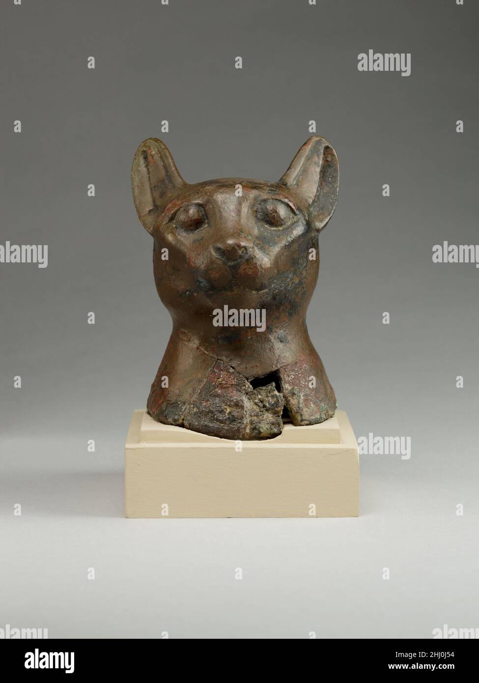 Head of a cat 664–30 B.C. Late Period–Ptolemaic Period The cat was ...