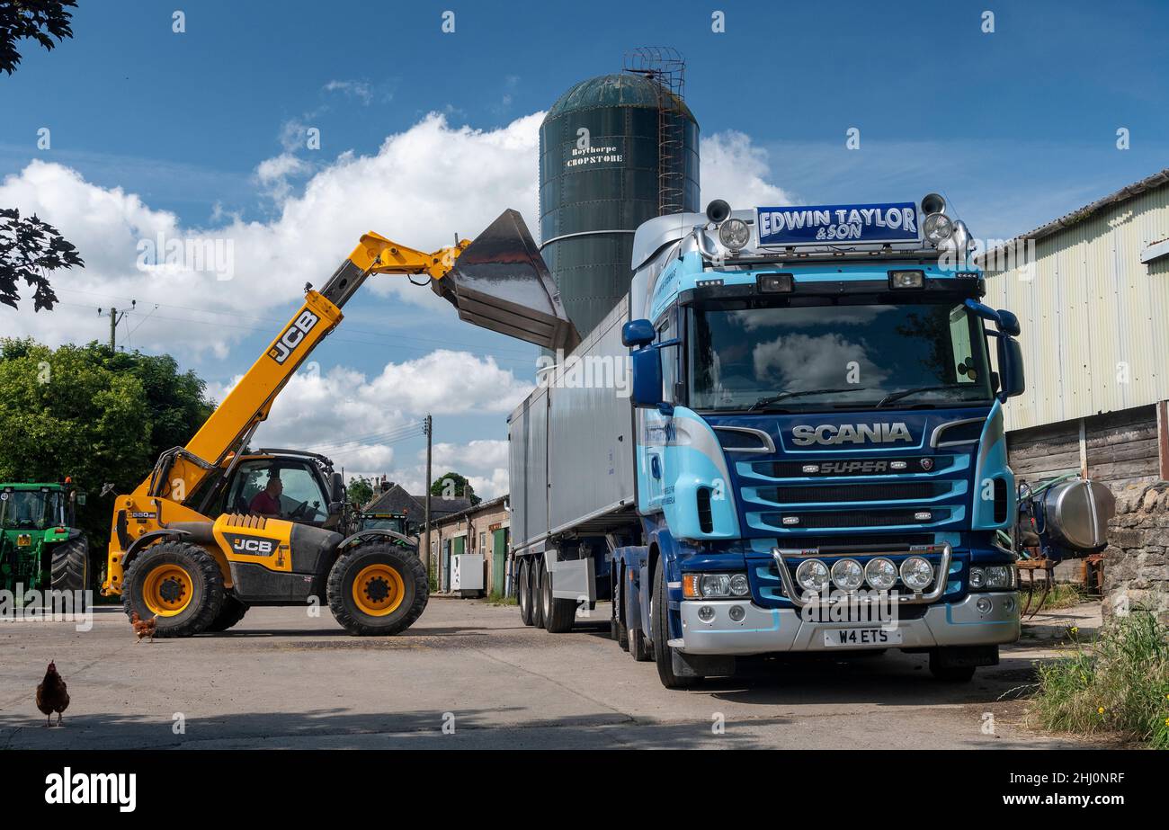Loading wheat into lorry trailer Stock Photo - Alamy