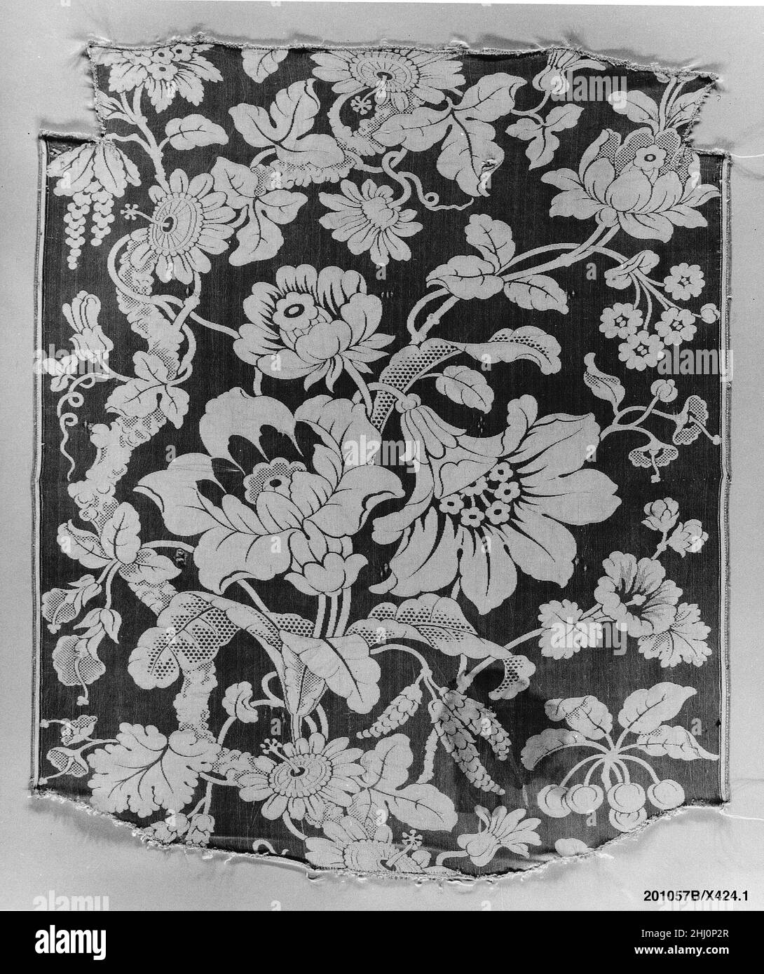 Marcotte leon hi-res stock photography and images - Alamy