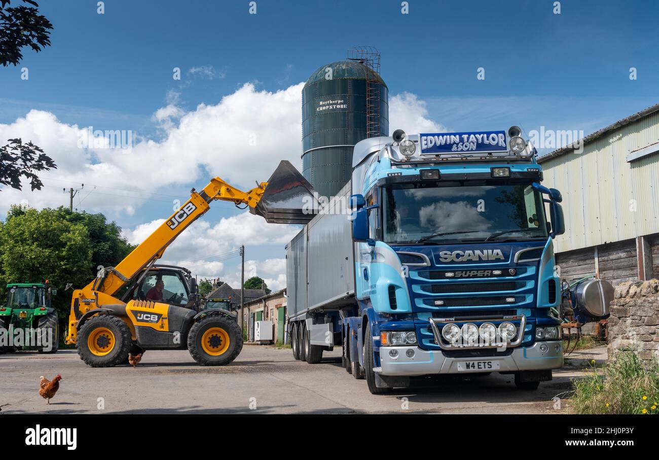 Loading wheat into lorry trailer Stock Photo - Alamy