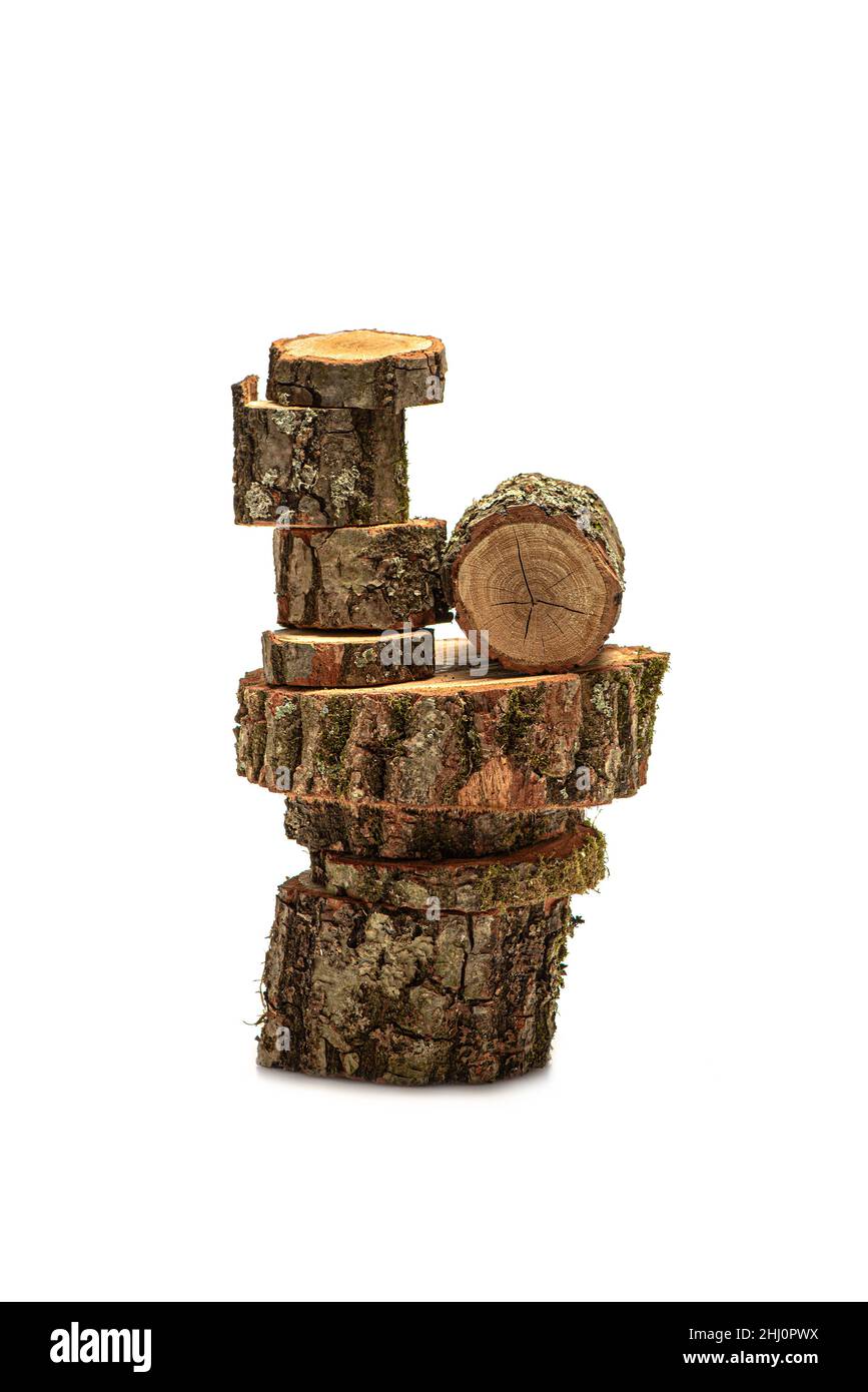 Set of oak bars and plates isolated on white background. Wooden round ...